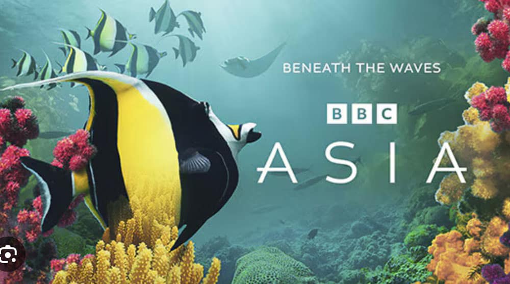 Asia - BBC David Attenborough - Indo Pacific Films